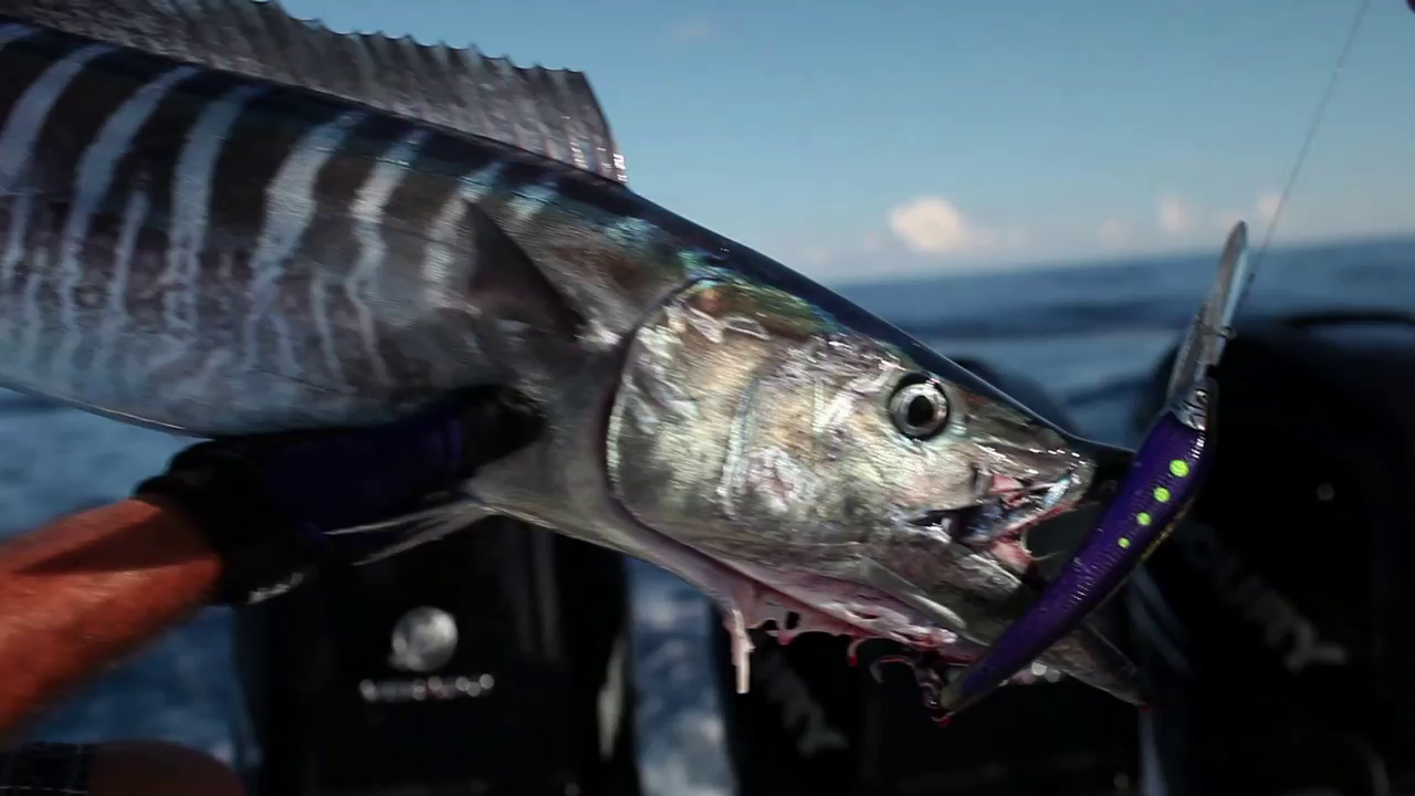 Sport Fishing Television - Season Sizzle Reel - Jamie Smith | Producer